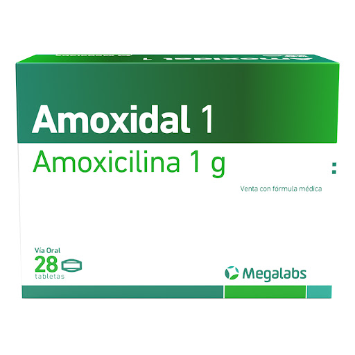 Amoxidal 1G Amoxicilina Roemmers Caja x28 Cápsulas